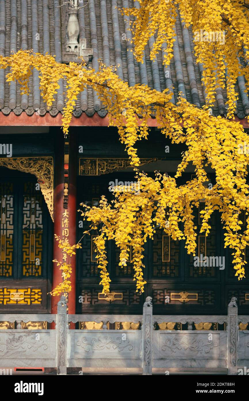 Daci temple hi-res stock photography and images - Alamy