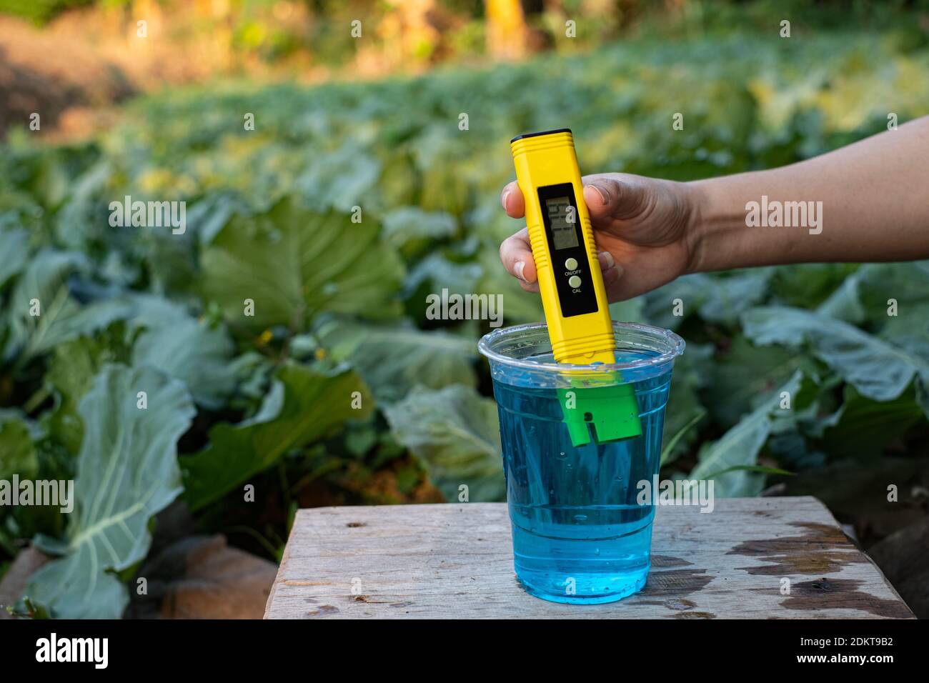 Ph Meter Garden High Resolution Stock Photography and Images - Alamy