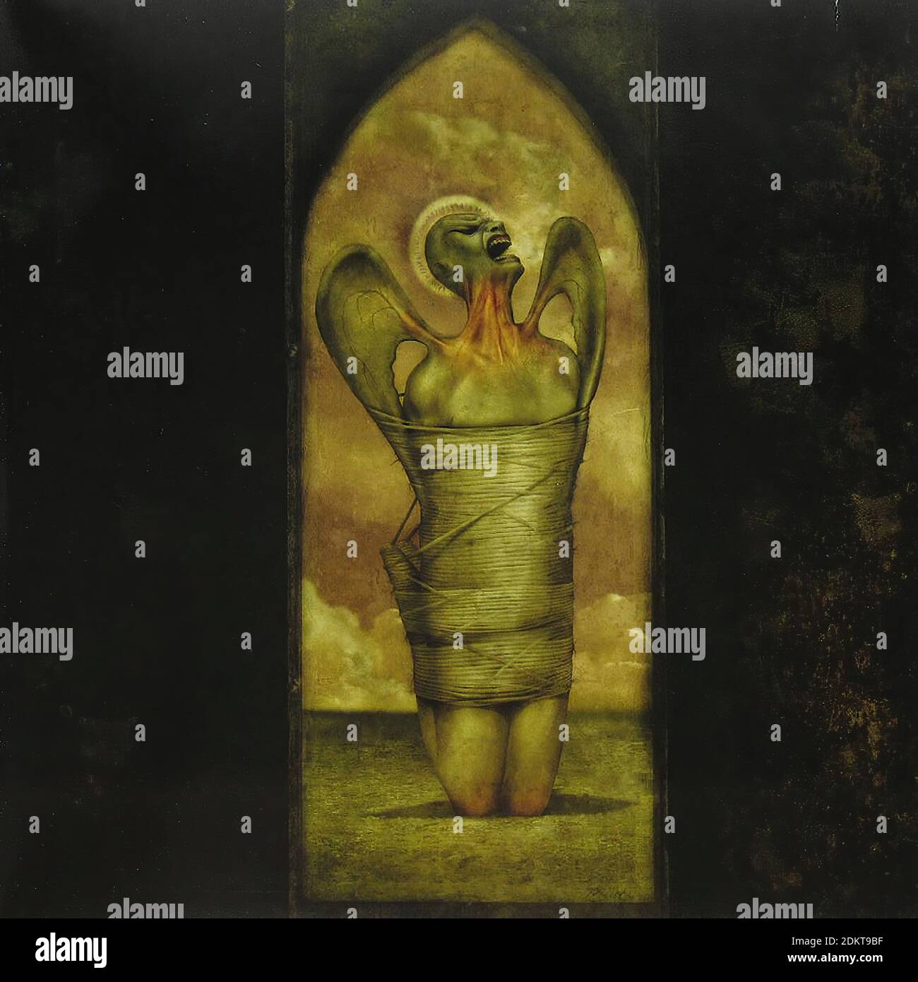 METALLICA ST ANGER 200 grams vinyl - Vintage Vinyl Record Cover01 Stock ...