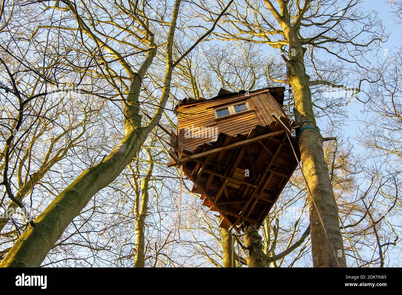 Wendover, Buckinghamshire, UK. 15th December, 2020. A new tree house is ...
