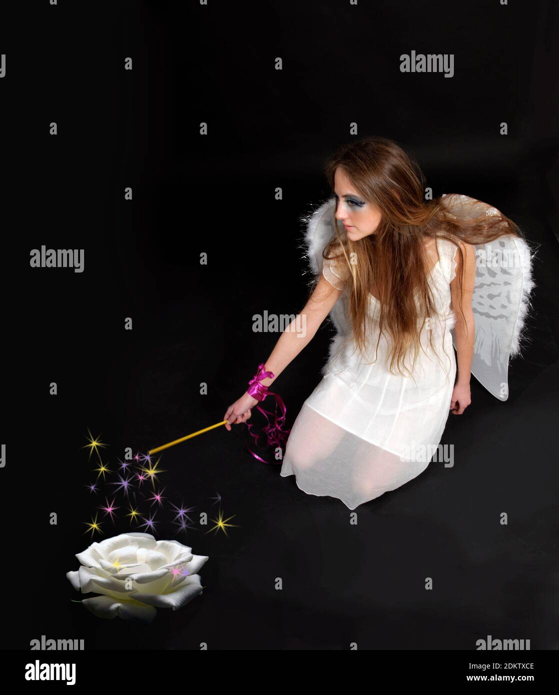 Fairy wand flower hi-res stock photography and images - Alamy