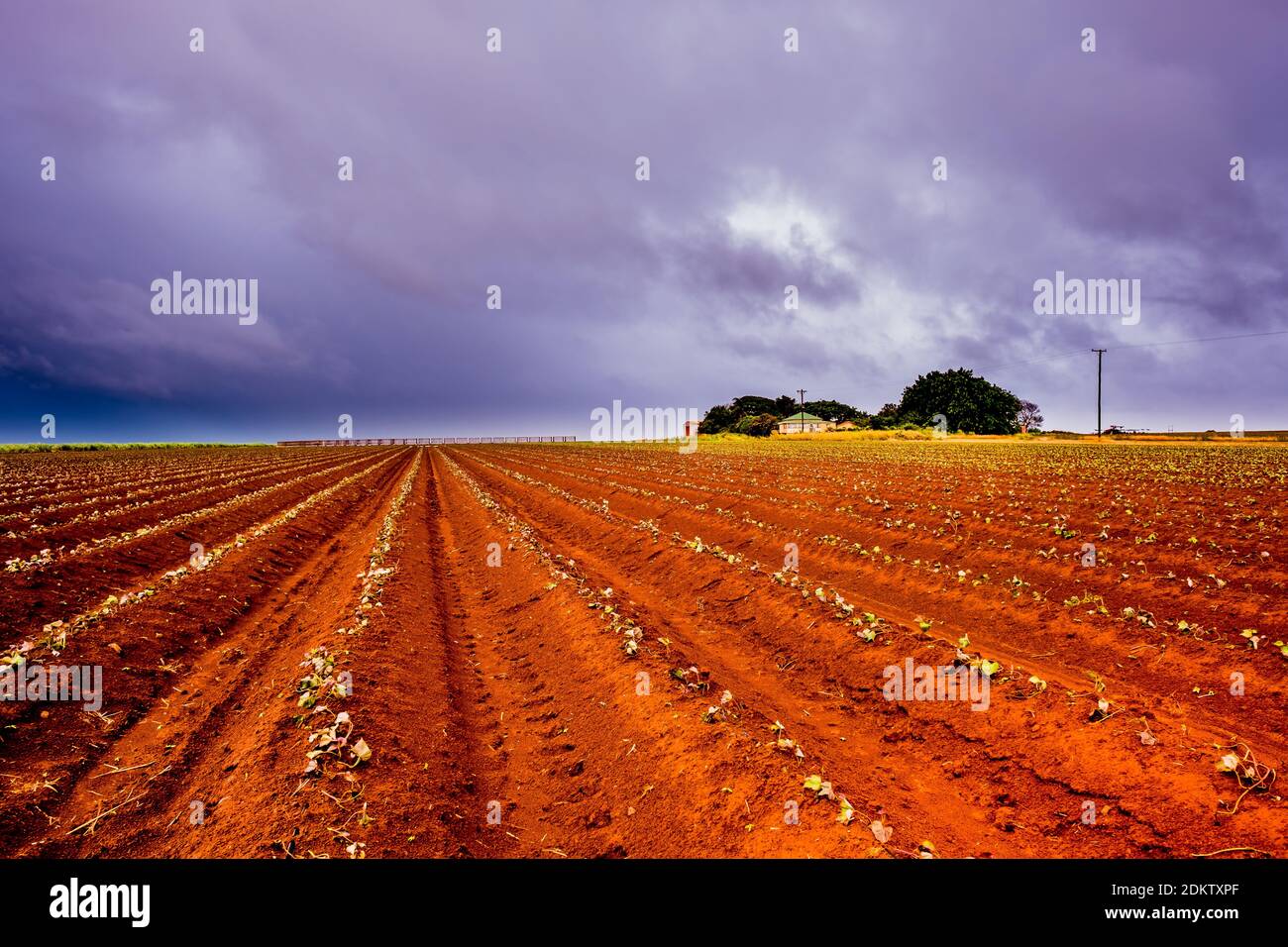 Dry land farming in the Cordalba Area of Queensland Stock Photo - Alamy