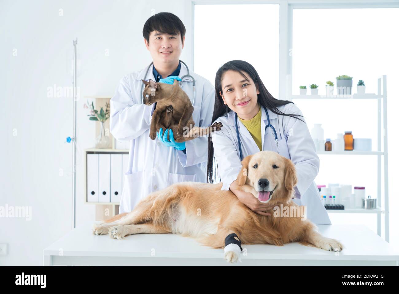 Animal inspection hi-res stock photography and images - Alamy