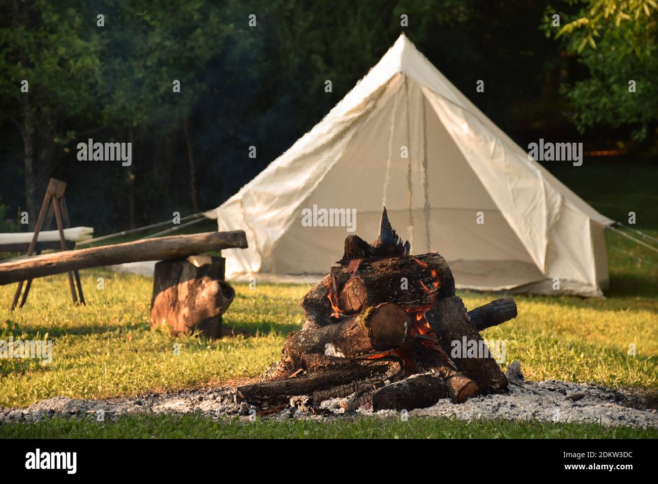 Campfire animals hi-res stock photography and images - Alamy