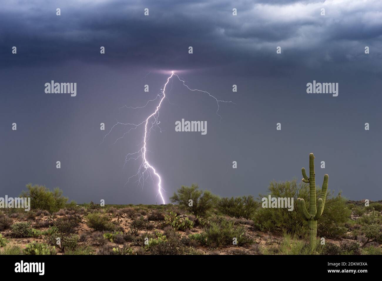 Arizona Lightning High Resolution Stock Photography and Images - Alamy