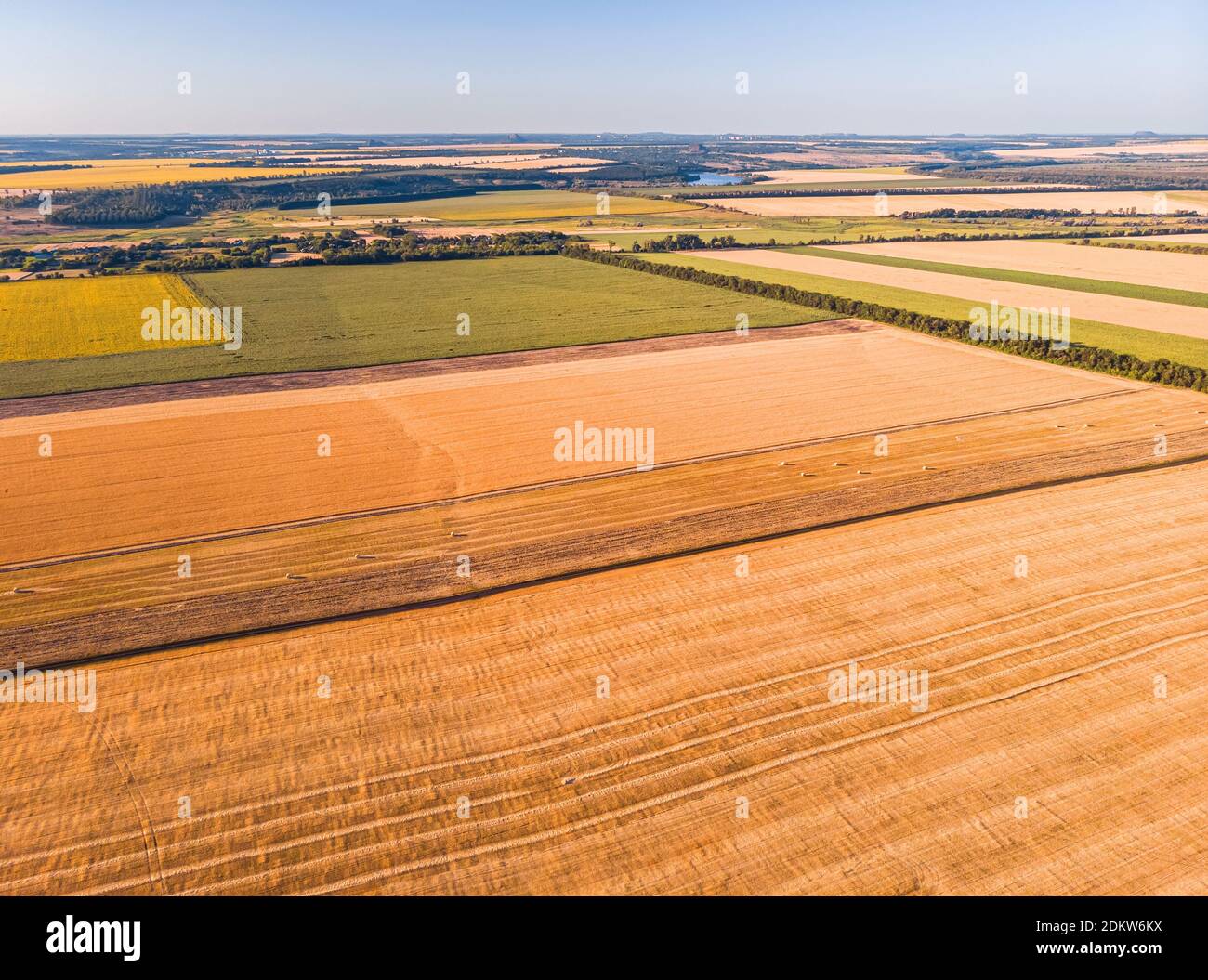 Aerial view of wheat field and tracks from tractor. Beautiful ...