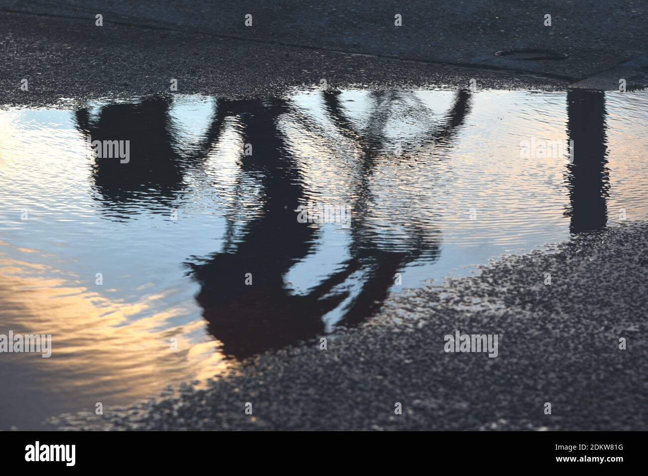 Silhouette reflection of cyclist on puddle water surface during sunset ...