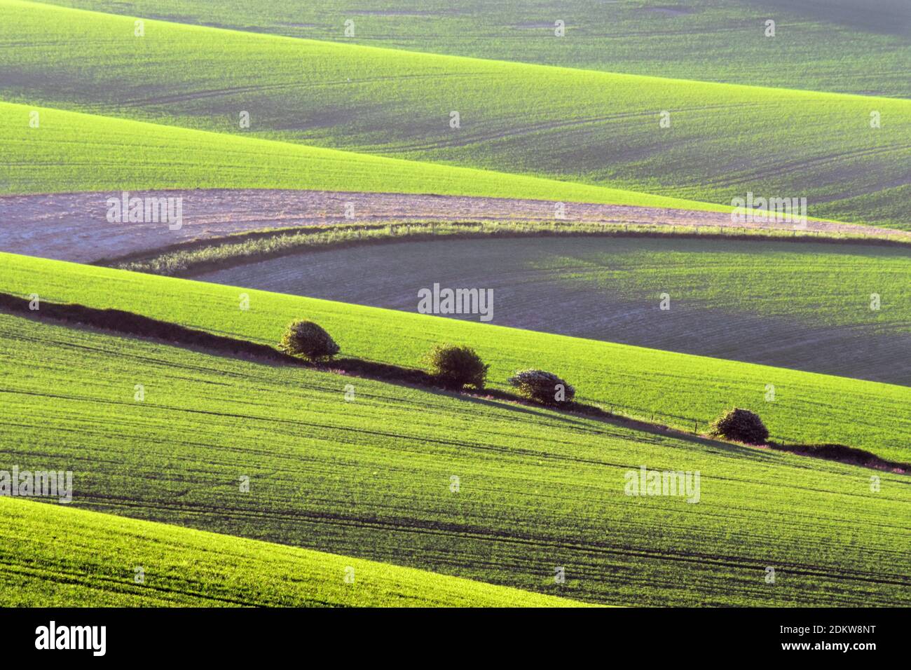 Scenic view of rolling green hills and fields under sunlight in South ...