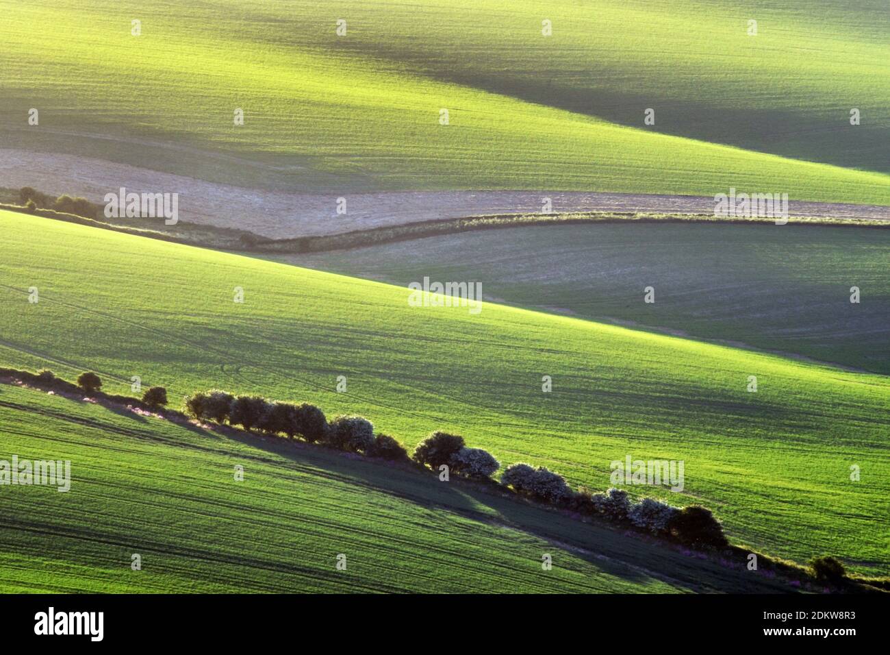 Green fields of england hi-res stock photography and images - Alamy