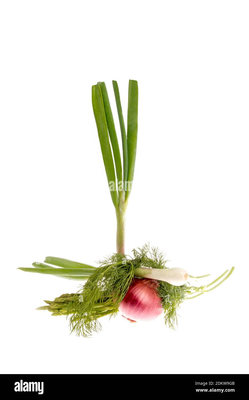 Onions dill isolated on Cut Out Stock Images & Pictures - Alamy