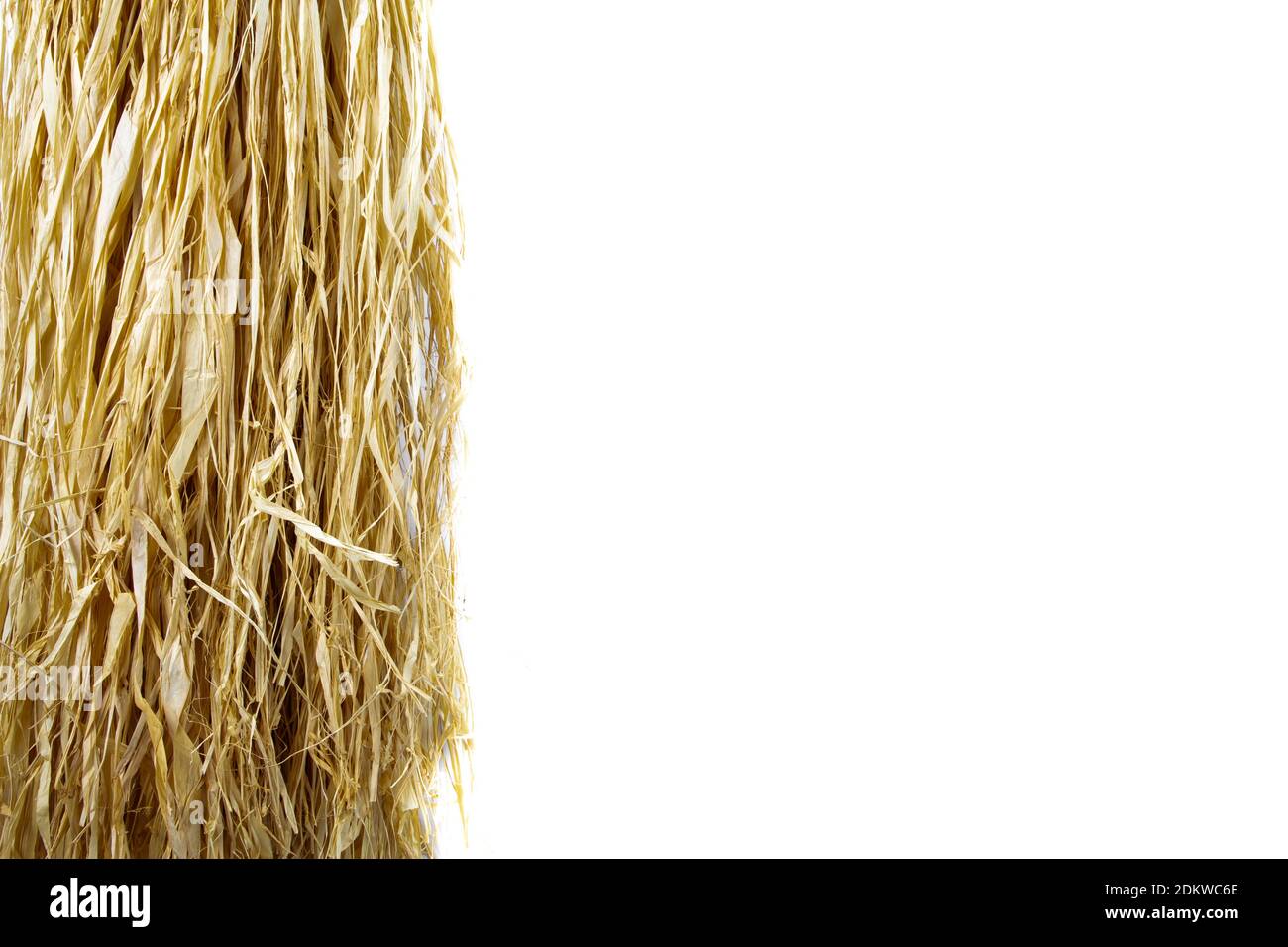 Loose hanging bast fiber hanging on the left side isolated on white ...