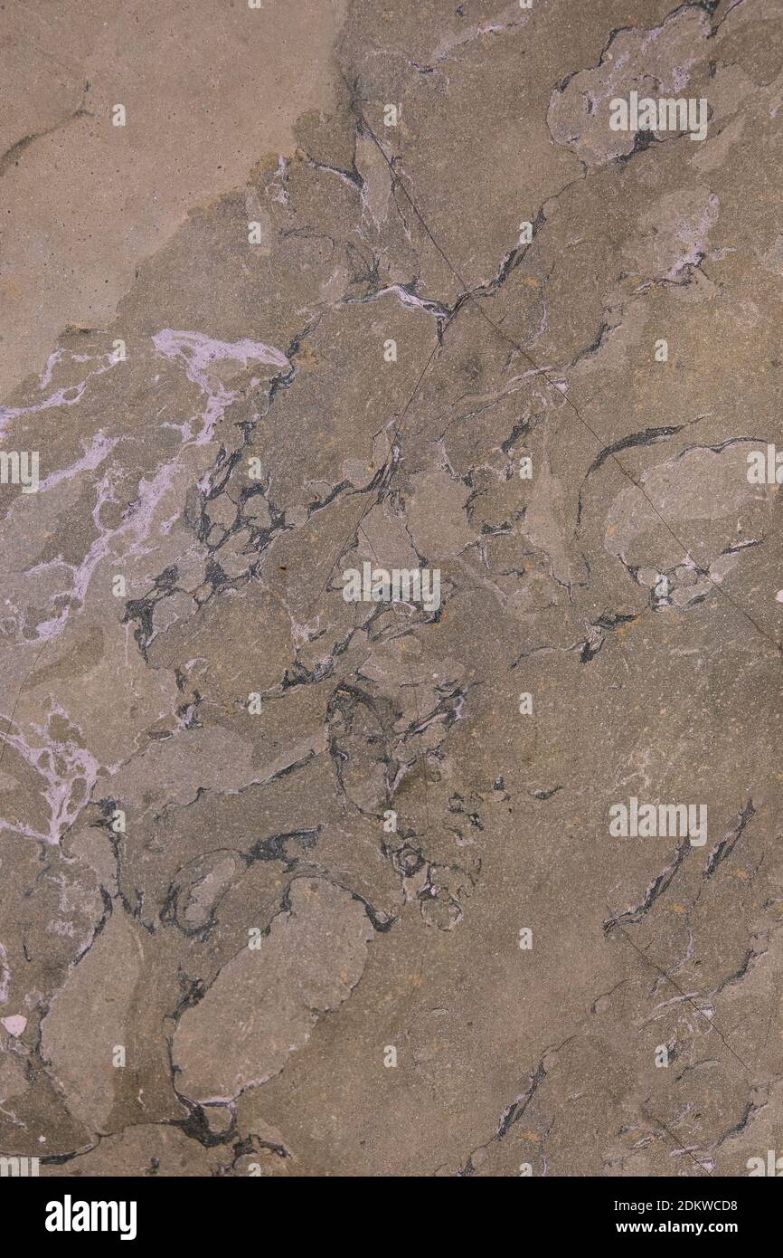 Beautiful ancient Greek and Rome marble texture background Stock Photo ...