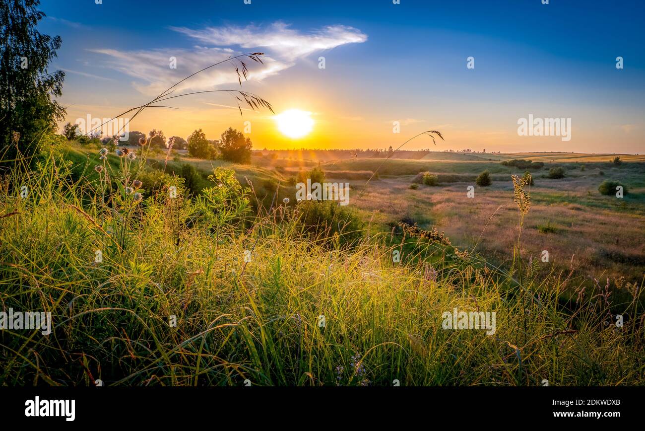 Sunset over beautiful hills with green grass and wildflowers Stock ...