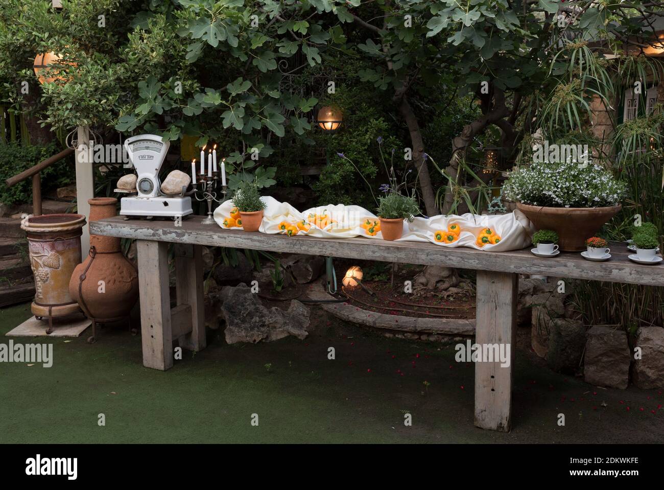 Buffet table setup in a garden Stock Photo - Alamy