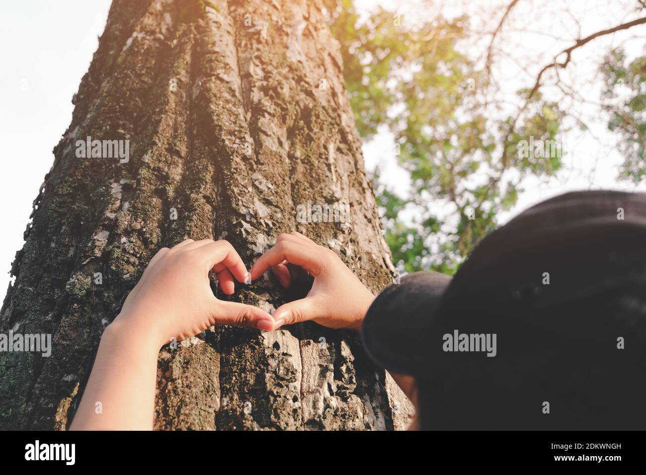 Human Heart Rear View High Resolution Stock Photography and Images - Alamy