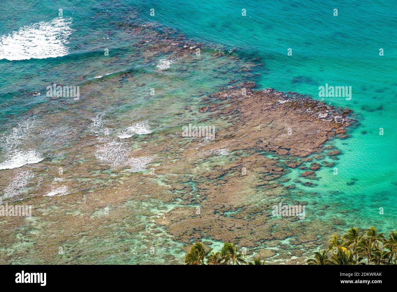 Coral reef hawaii hi-res stock photography and images - Alamy