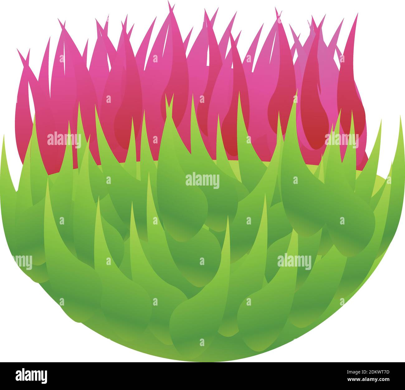 Thistle icon. Cartoon of thistle vector icon for web design isolated on ...