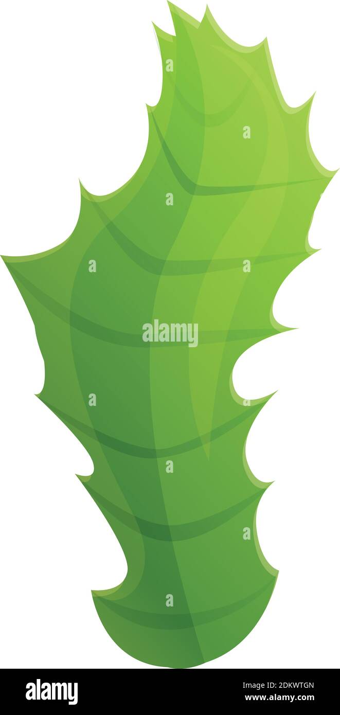 Thistle leaf icon. Cartoon of thistle leaf vector icon for web design ...