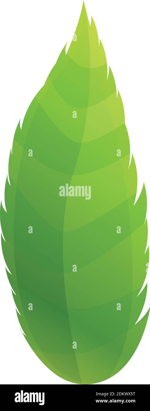 Thistle green leaf icon. Cartoon of thistle green leaf vector icon for ...