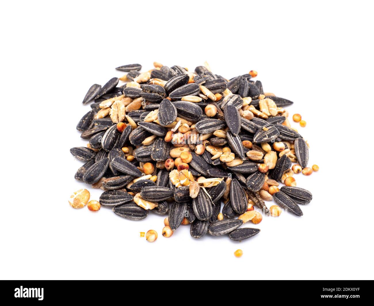 Birdseed Plant High Resolution Stock Photography and Images - Alamy