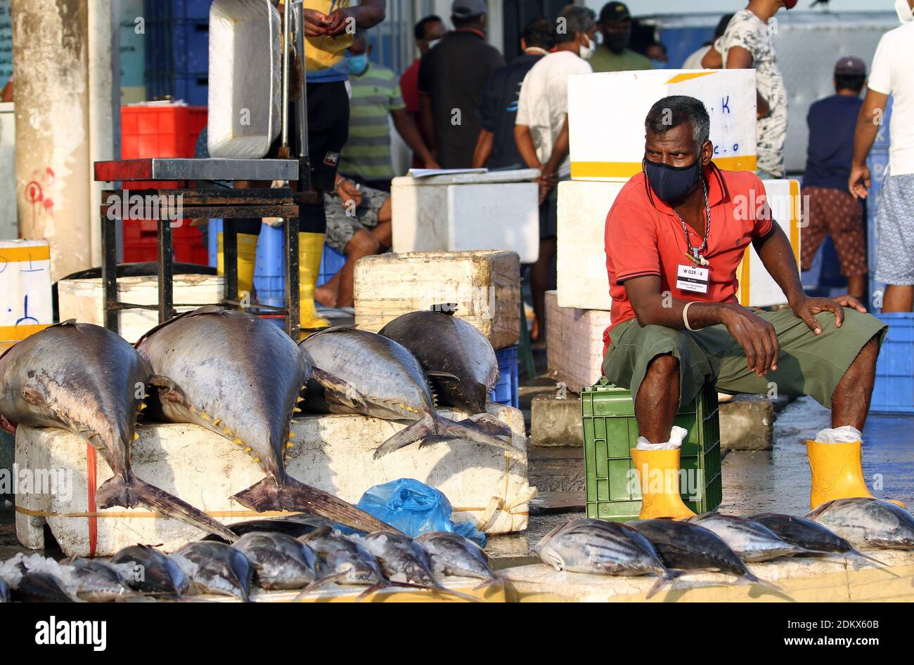 Peliyagoda hi-res stock photography and images - Alamy