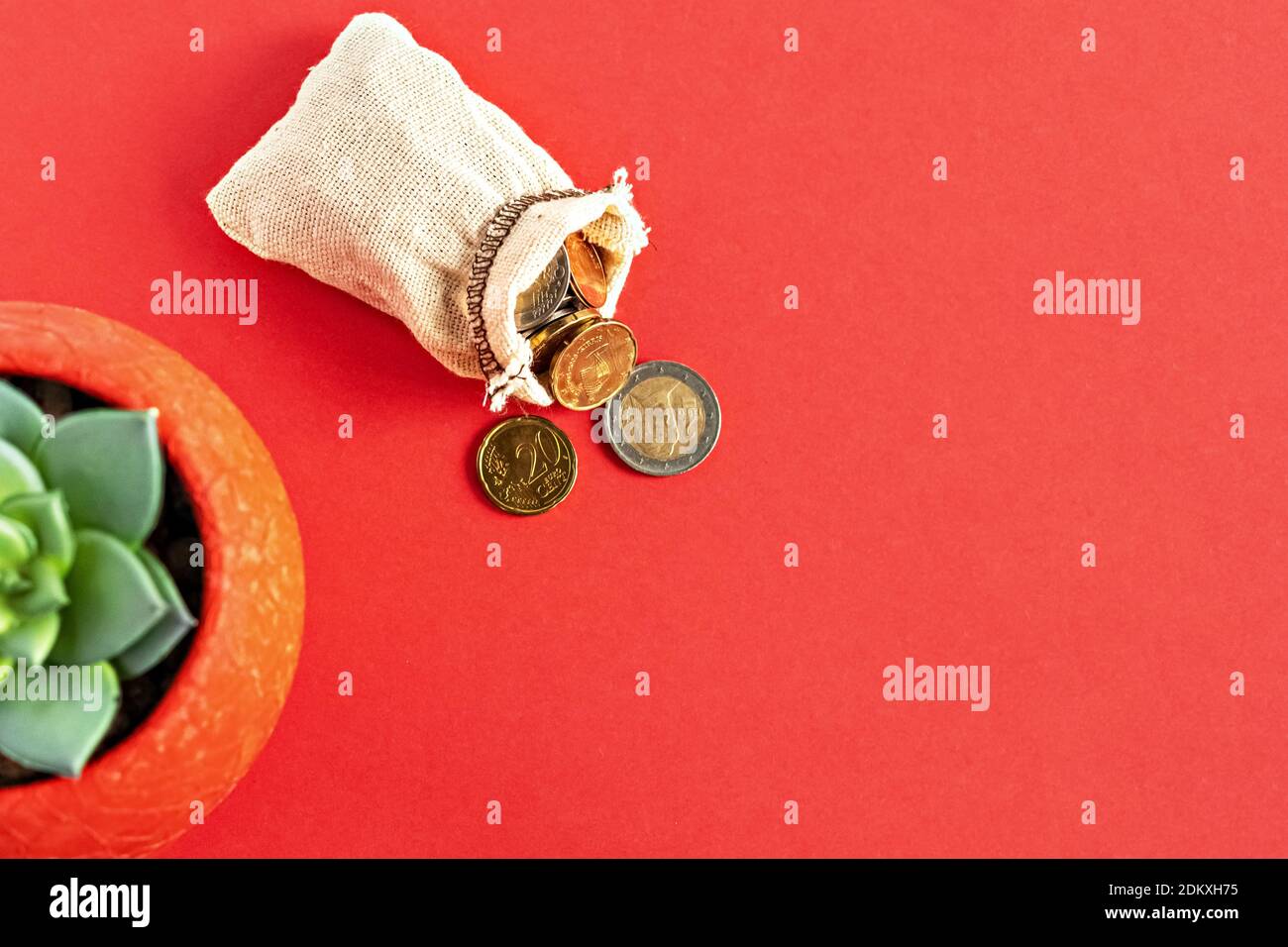 Euro coins falling out of burlap on a red background with a succulent ...