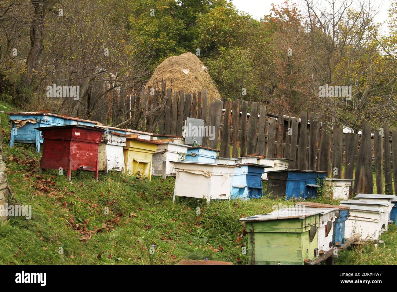 Bee hives in the backyard of a rural property in Romania Stock Photo ...
