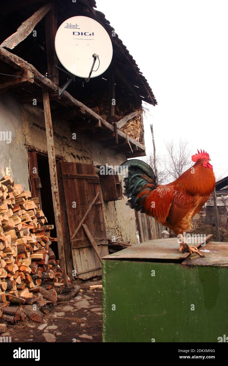 Vrancea County, Romania. Messy yard with barn and hay loft in the ...