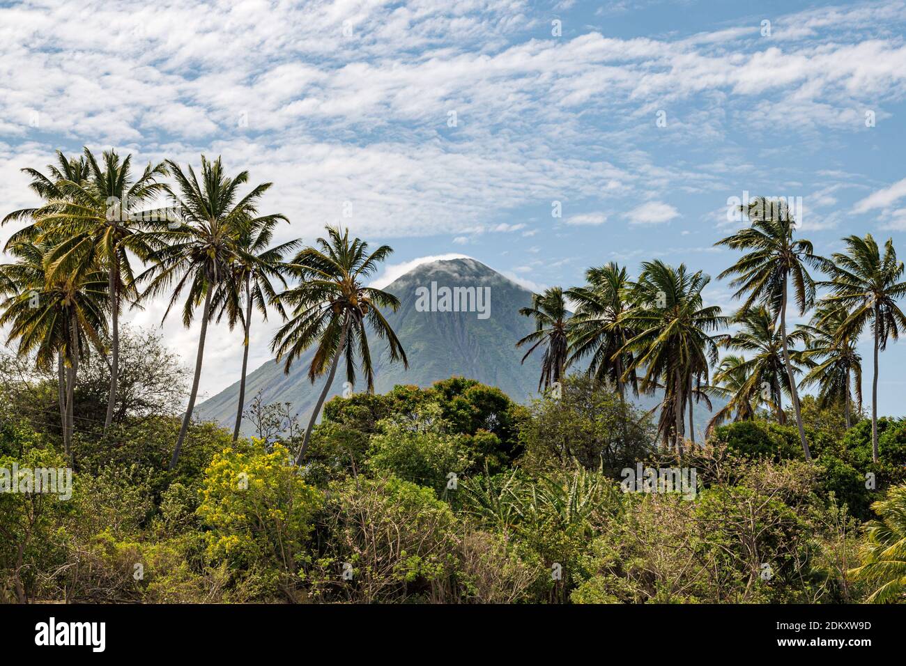 Maderas volcano on Ometepe Island, Nicaragua with palm trees in ...