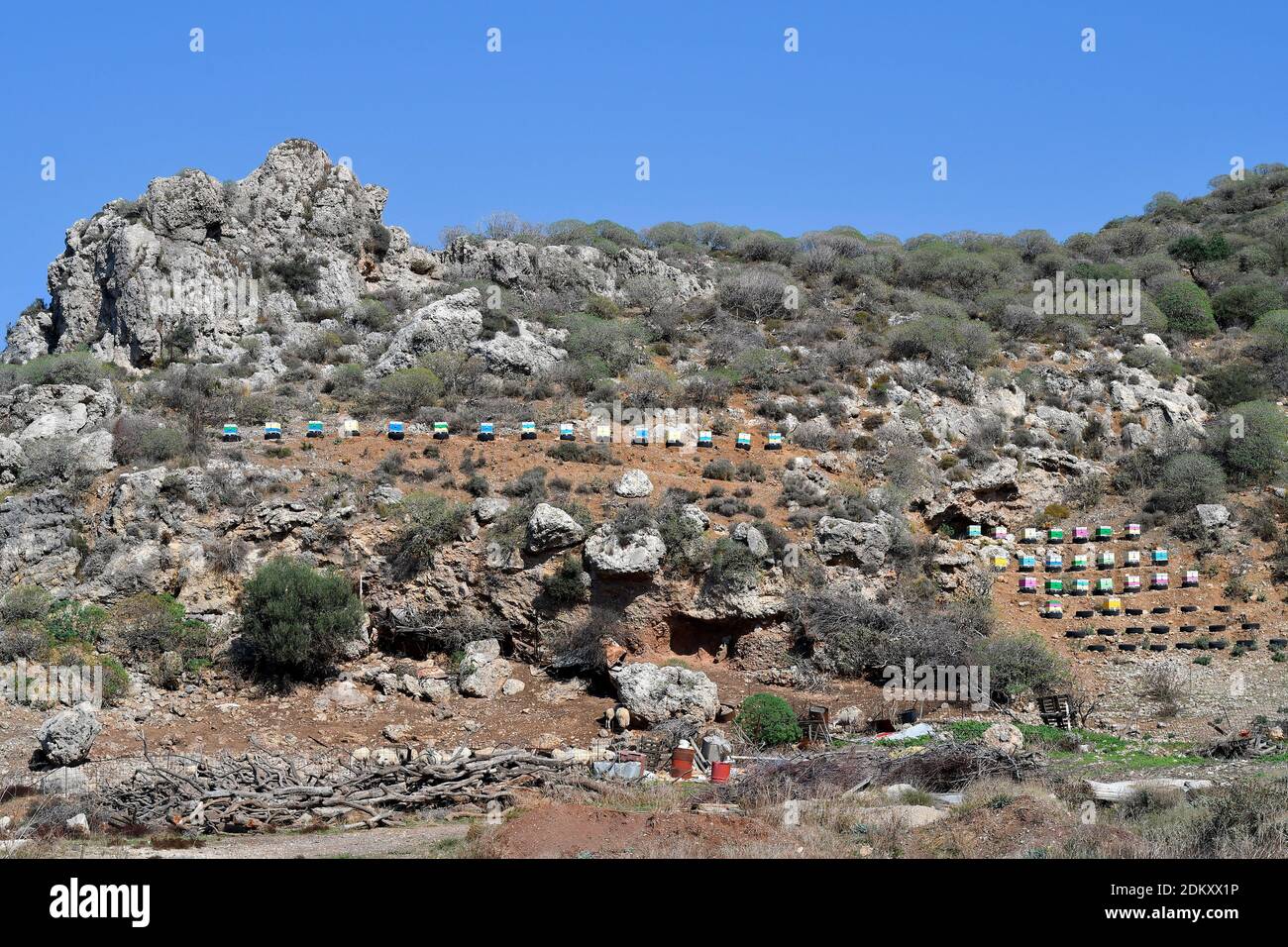 Greece, beekeeping on Crete Island Stock Photo - Alamy