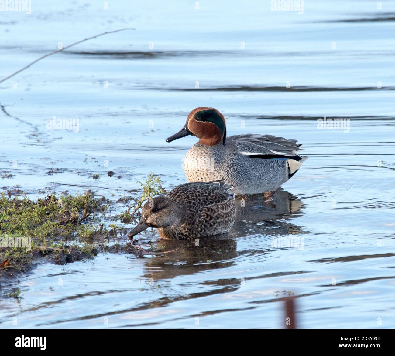 Teal colour water hi-res stock photography and images - Alamy
