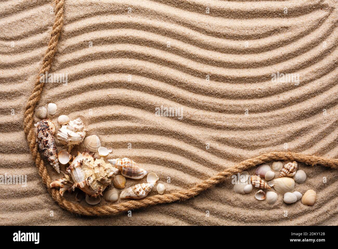 Different seashells on the beach sand. Waves texture. Frame made of ...