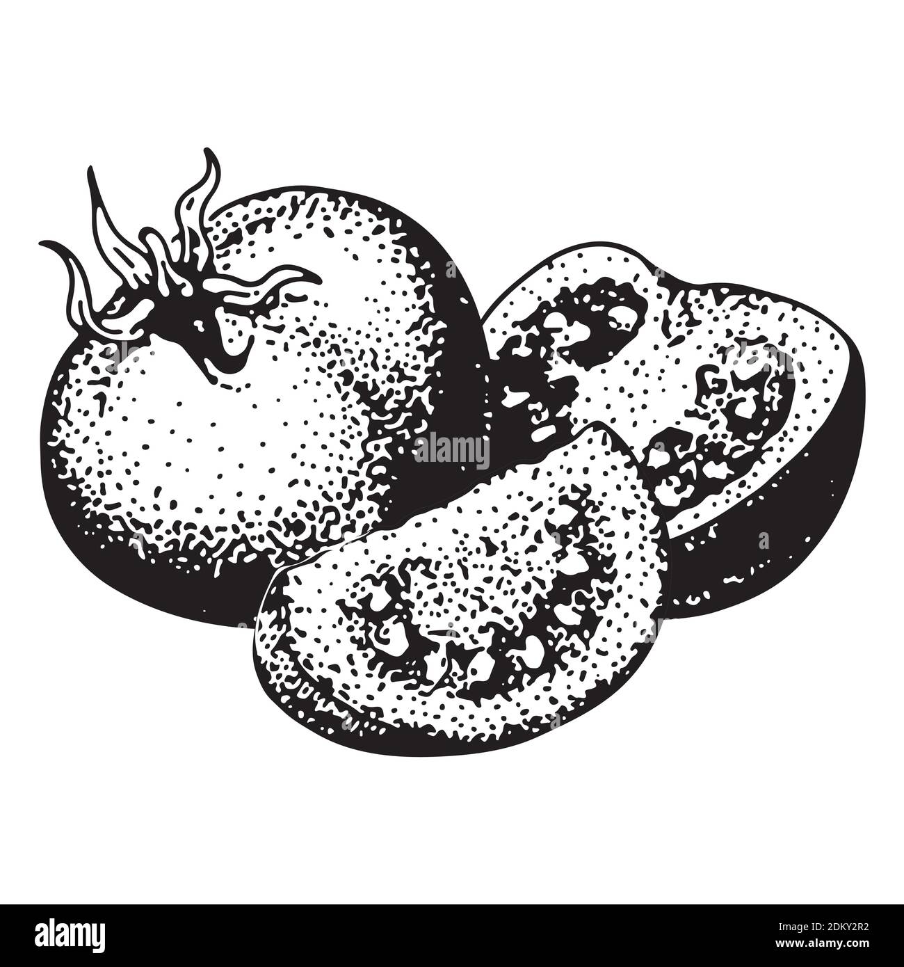 Sliced Tomato Drawing