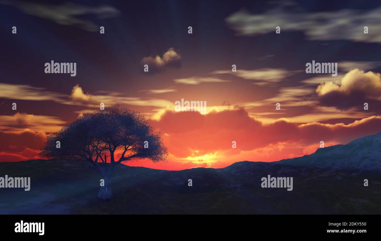 sunset at meadow and lonely tree, 3d render illustration Stock Photo ...