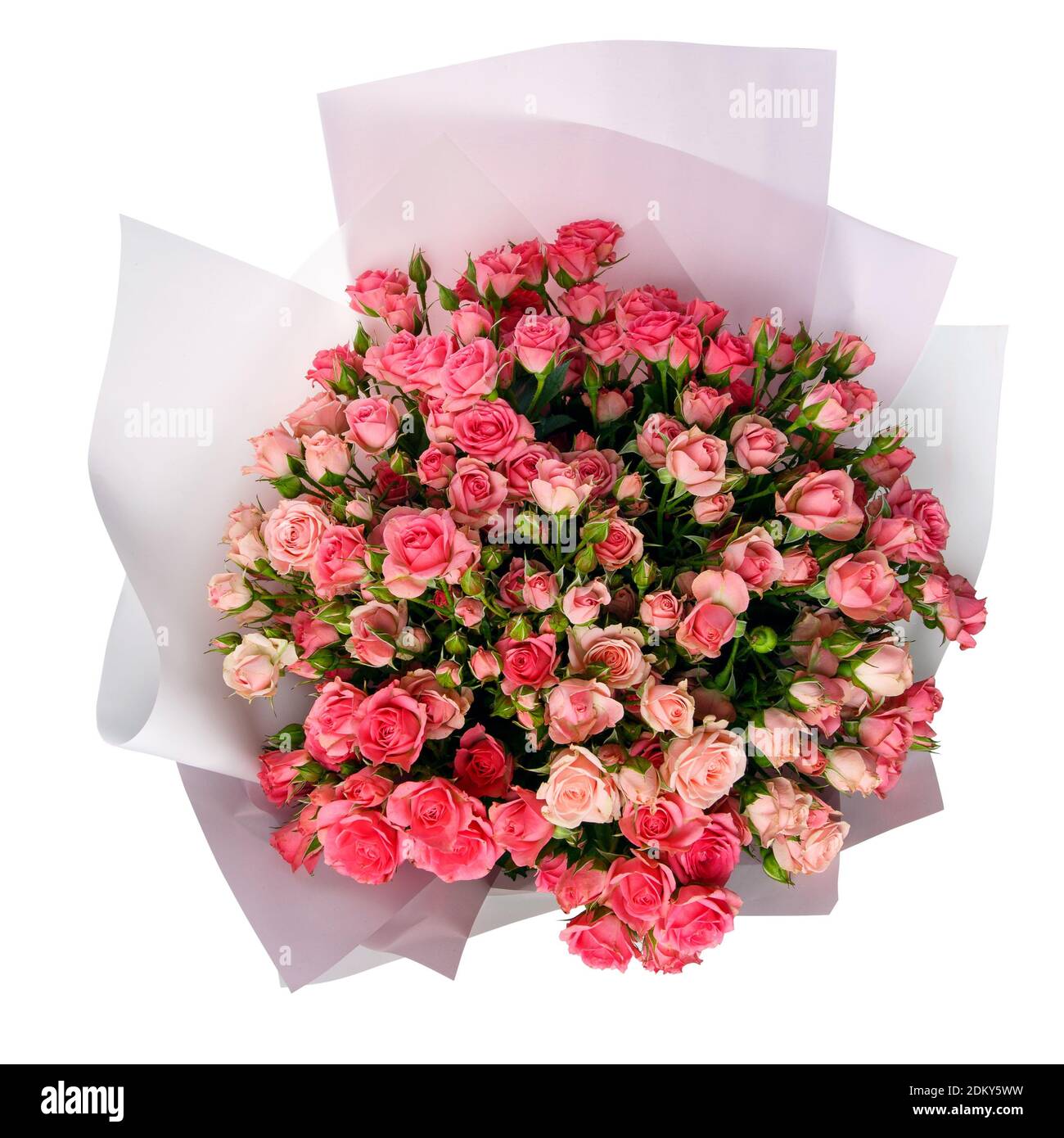 Spray roses hi-res stock photography and images - Alamy