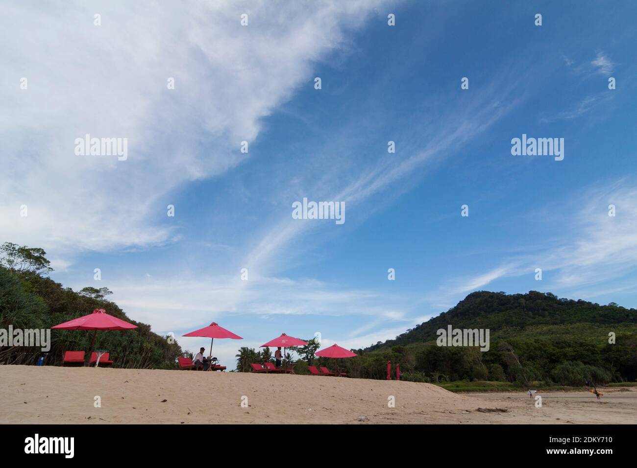 Pulau Merah beach is one of the tourist destinations in Banyuwangi ...