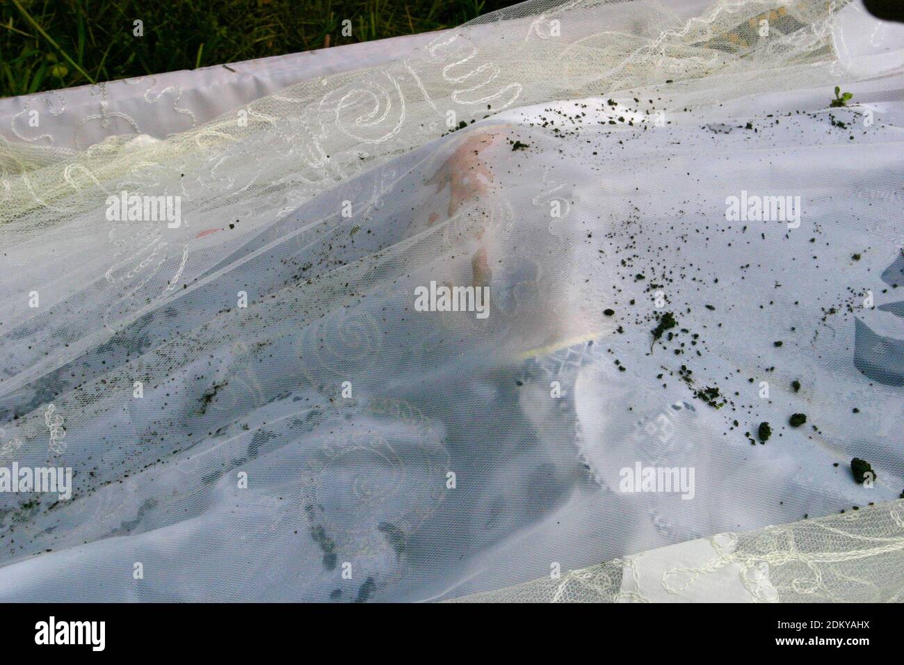 Deceased person in a coffin, covered by white veil. Funeral procession ...