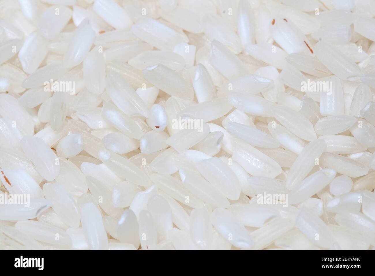 Long grain rice texture hi-res stock photography and images - Alamy