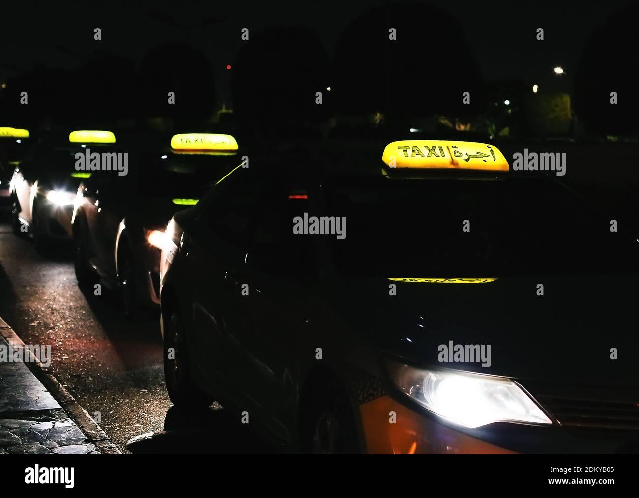 Yellow illuminated taxi signs in arabic and english language on cars in ...