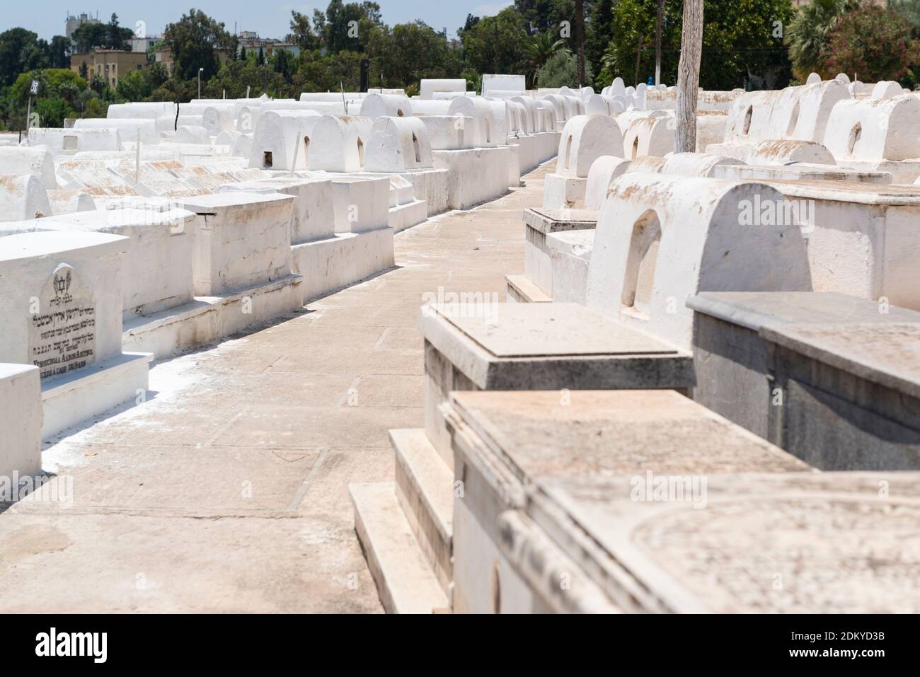 White tombs in the Jewish cemetery of Fes, Morocco Stock Photo - Alamy