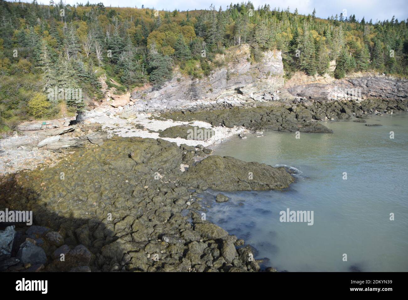 Rock lined coast on the New Brunswick Bay of Fundy Stock Photo - Alamy