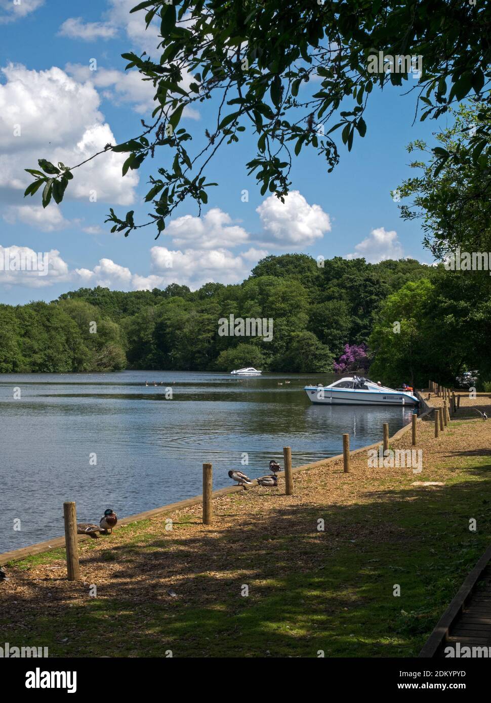 Picturesque Salhouse Broad, situated near The River Bure, part of The ...