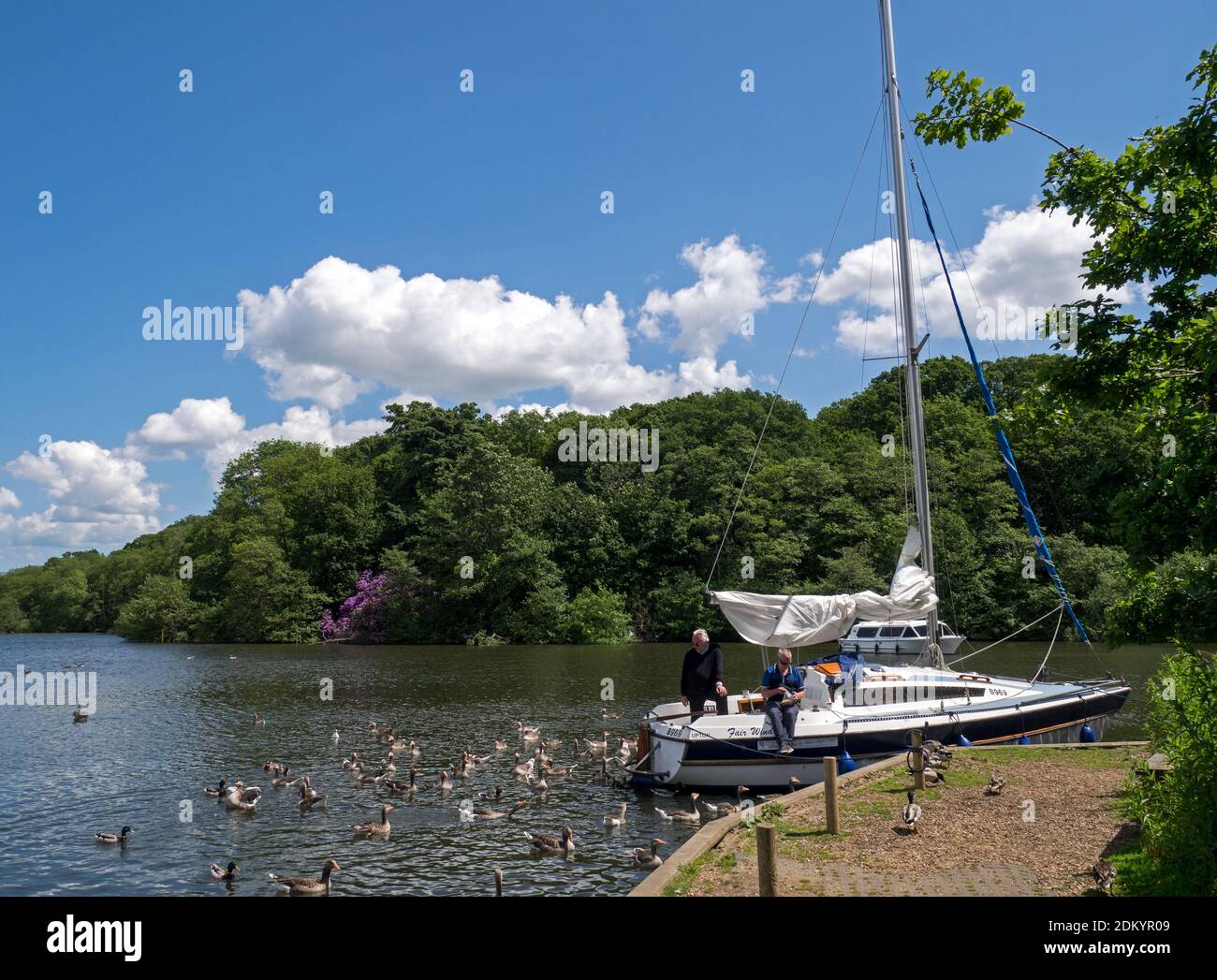 Picturesque Salhouse Broad, situated near The River Bure, part of The ...