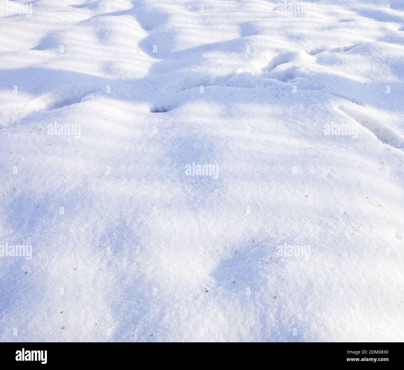 Fresh snow background Stock Photo - Alamy