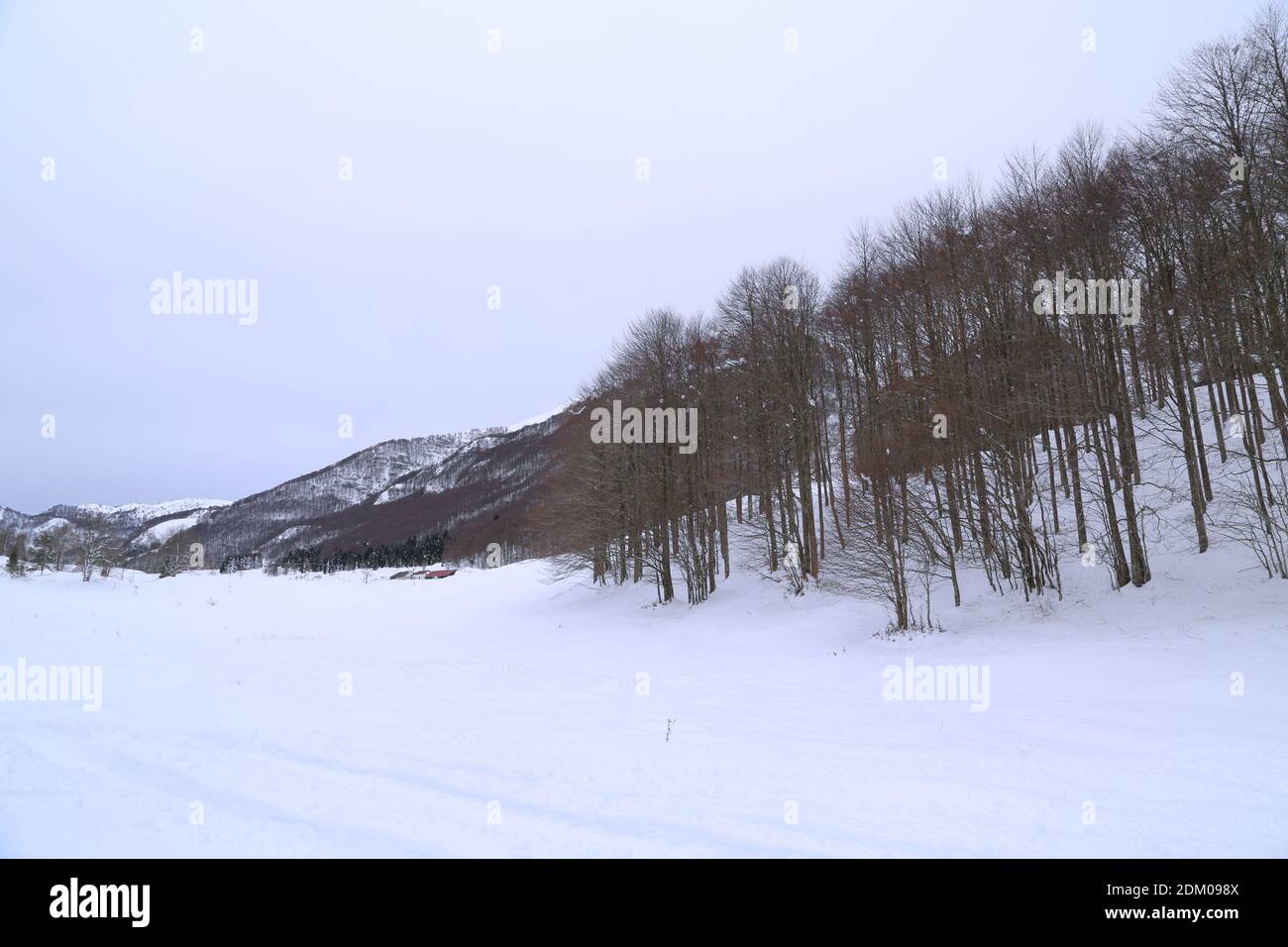 The Piancavallo Alps covered with snow, Italy Stock Photo - Alamy