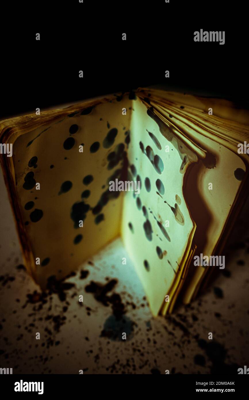 Burned book hi-res stock photography and images - Alamy