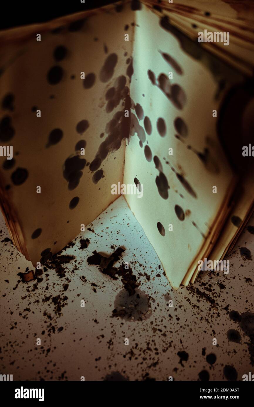 Old burned book hi-res stock photography and images - Alamy