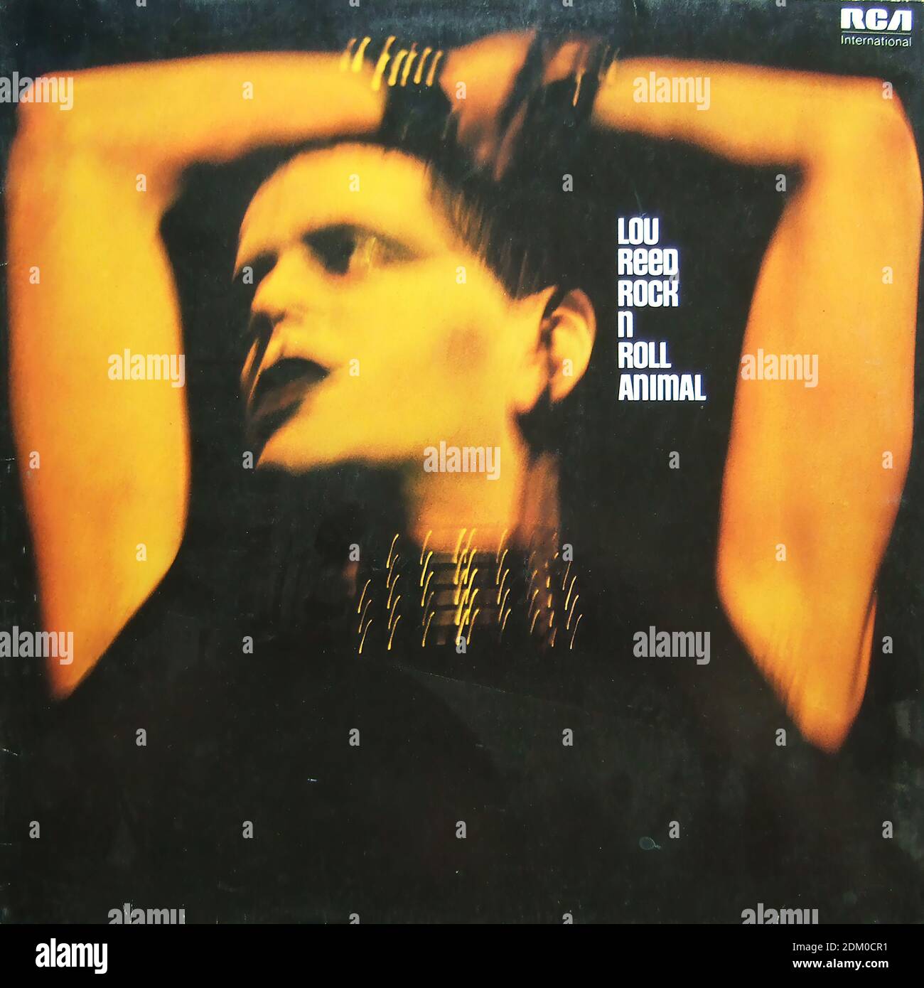 Lou Reed - Rock n Roll Animal - Vintage vinyl album cover Stock Photo - Alamy