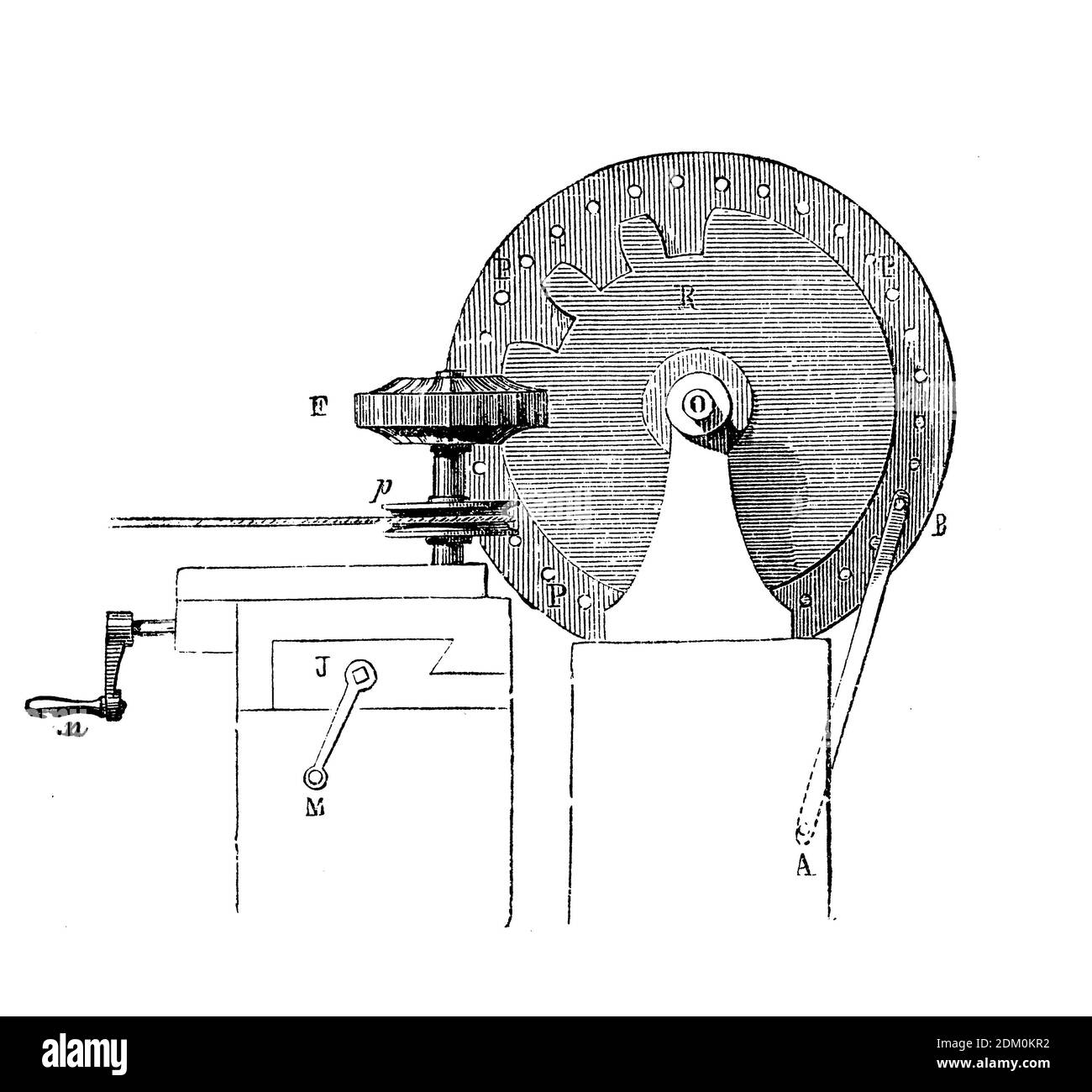Conceptual image plant in Cut Out Stock Images & Pictures - Alamy