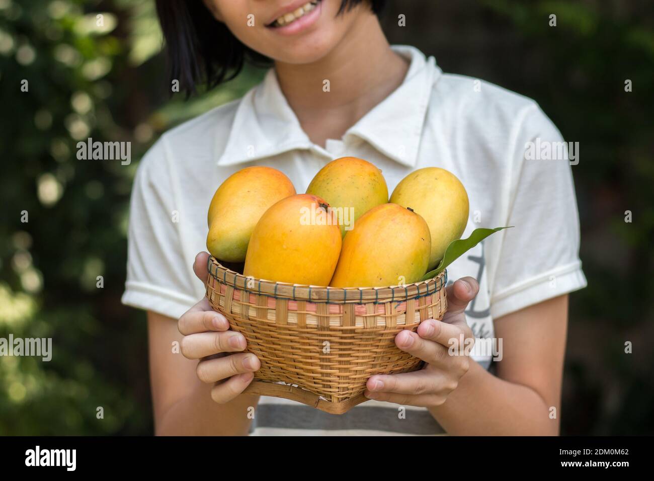 Child Holding Mango High Resolution Stock Photography and Images - Alamy